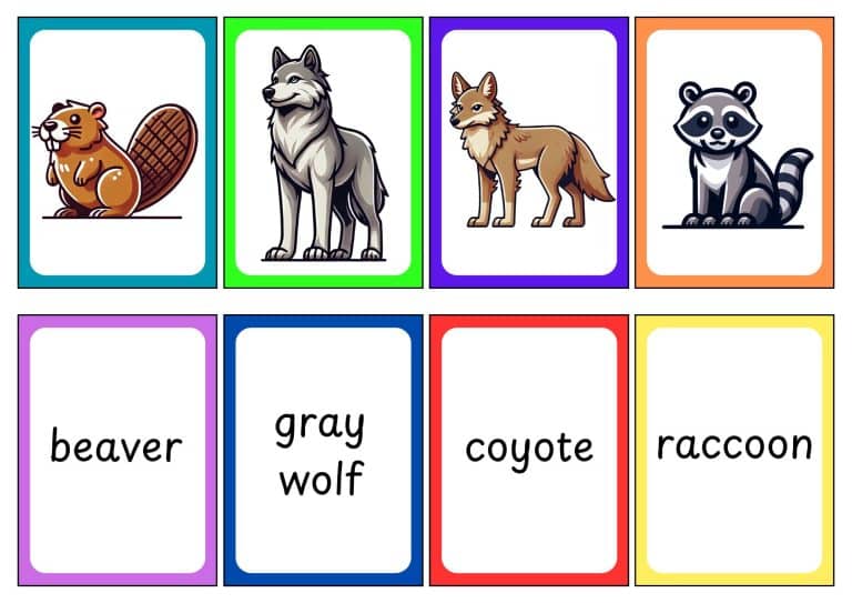 Animals Flashcards (64 Animals!) - Free Printables - Teach Prints