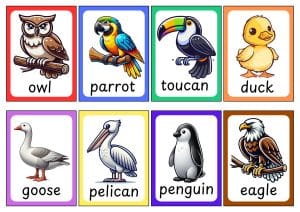 Animals Flashcards (64 Animals!) - Free Printables - Teach Prints