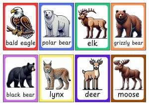 Animals Flashcards (64 Animals!) - Free Printables - 🍎 Teach Prints