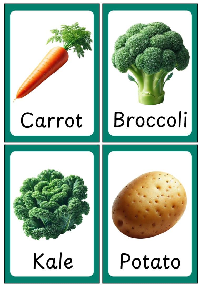 24 Vegetable Flashcards (Free to Print!) - Teach Prints