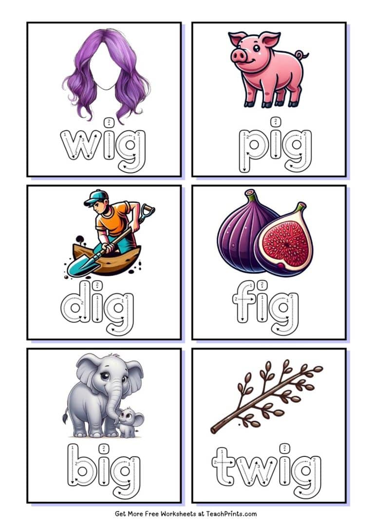 Free 'ig' Word Family Worksheets - Teach Prints