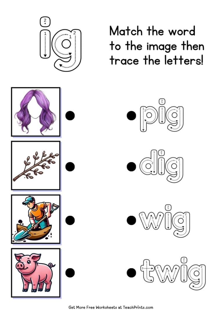 Free 'ig' Word Family Worksheets - Teach Prints