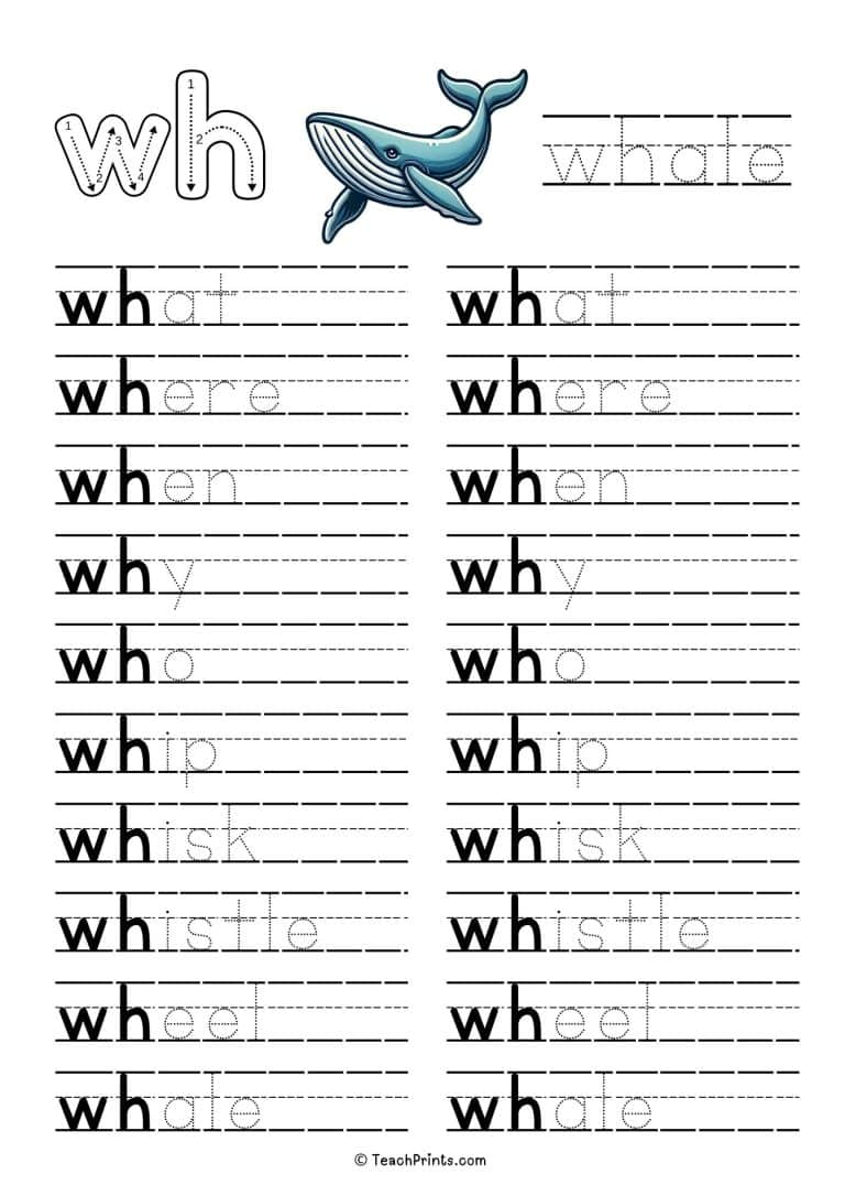 Wh Words Worksheets - Free PDF Printables - Teach Prints