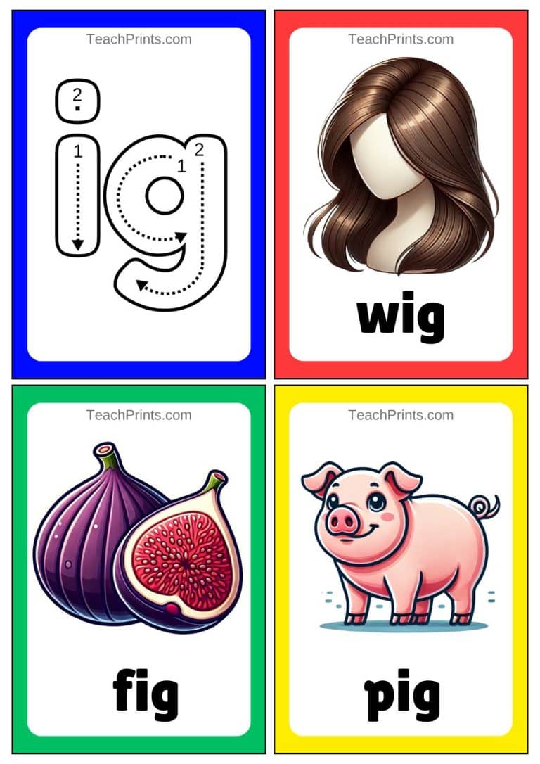 256 Free Word Family Flashcards - Teach Prints