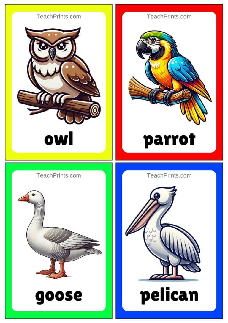 34 Birds Flashcards - Free Printables! - Teach Prints