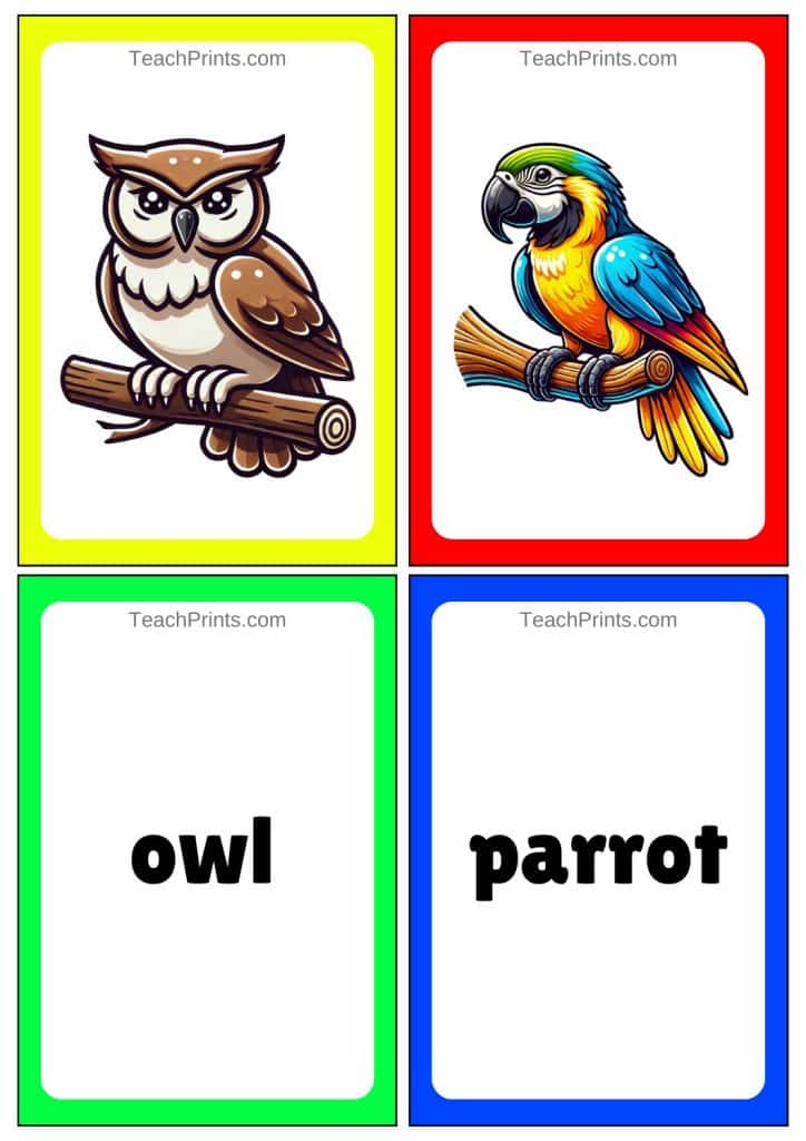 34 Birds Flashcards - Free Printables! - Teach Prints
