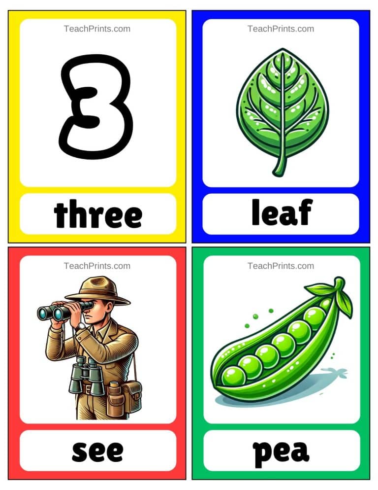 Flashcards - Teach Prints