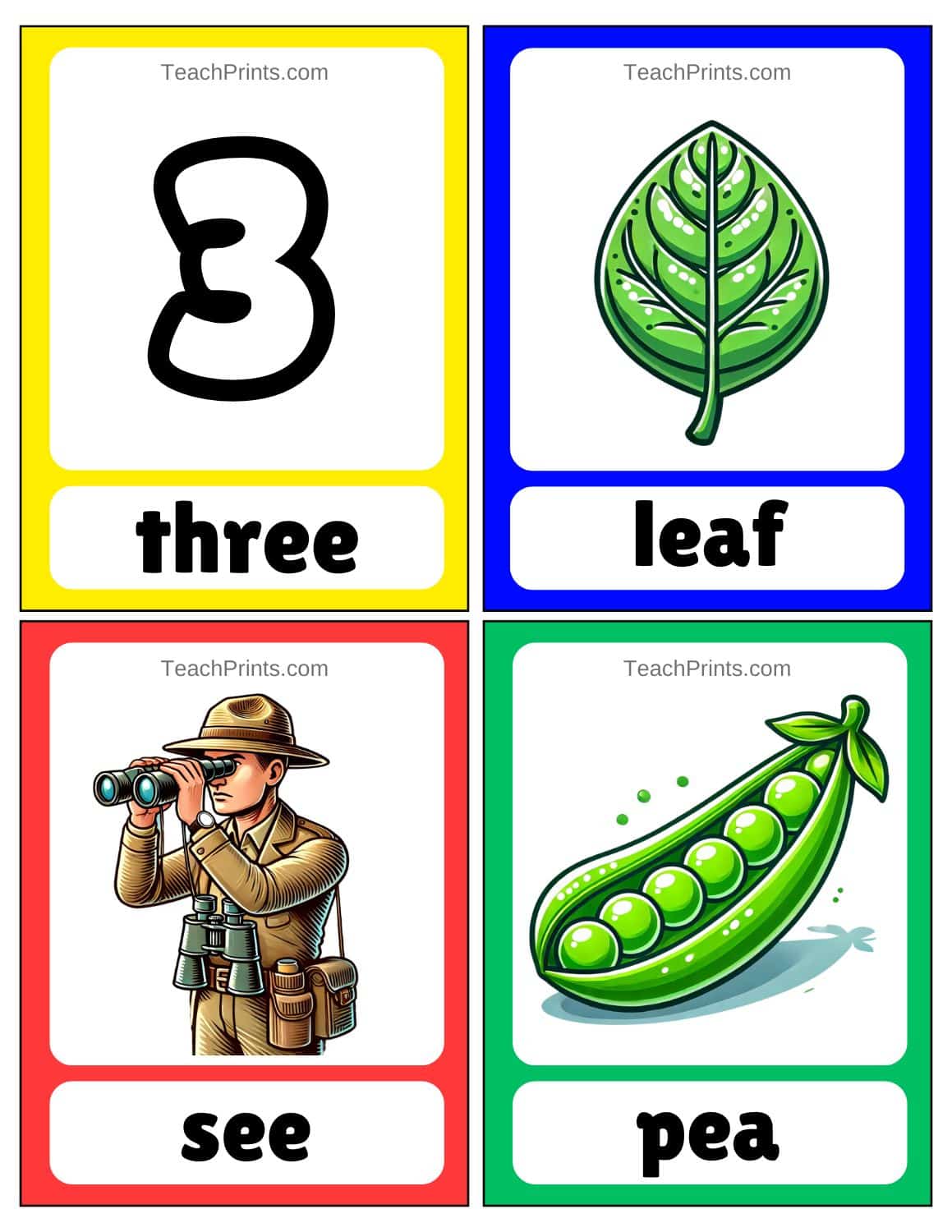 Flashcards - Teach Prints