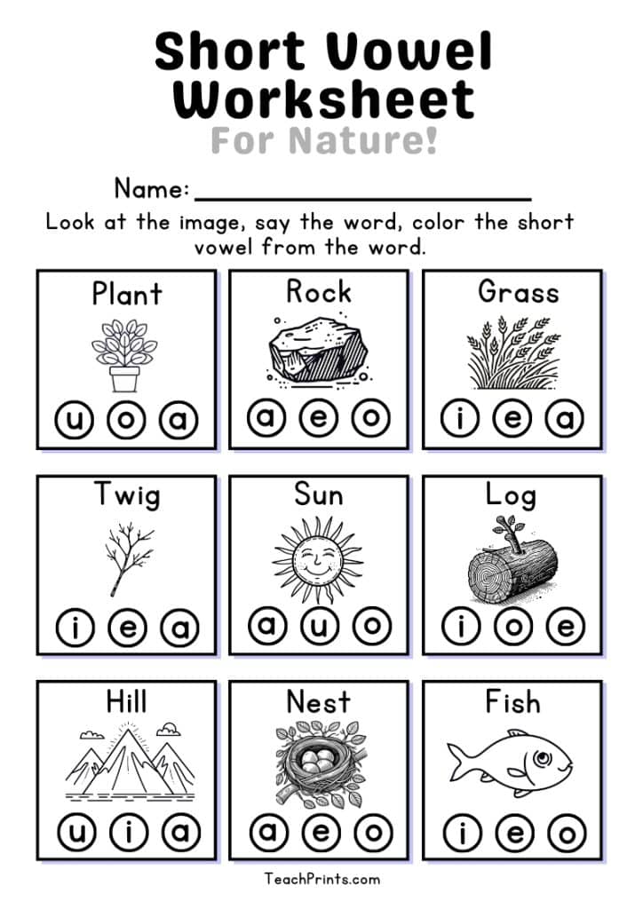 16 Short Vowel Worksheets - Free PDF Printables - Teach Prints